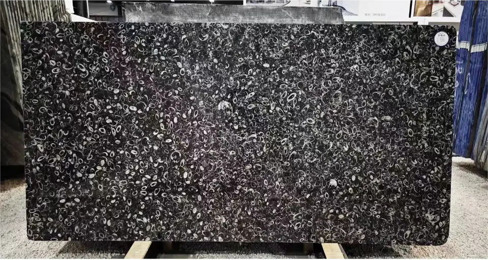 Sea Shell Marble - Professional Natural & Artificial Stones Provider ...